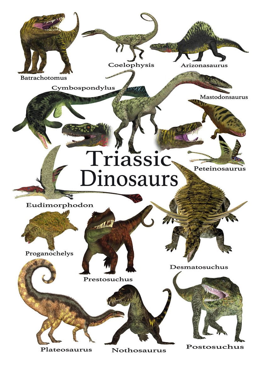 Dinozaury