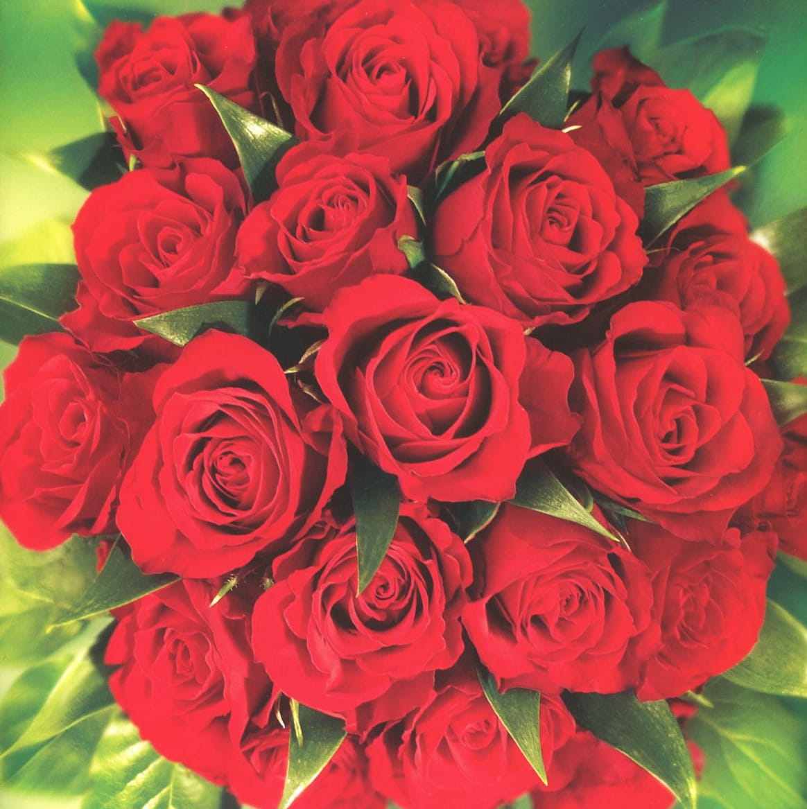 Folded card - Flowers